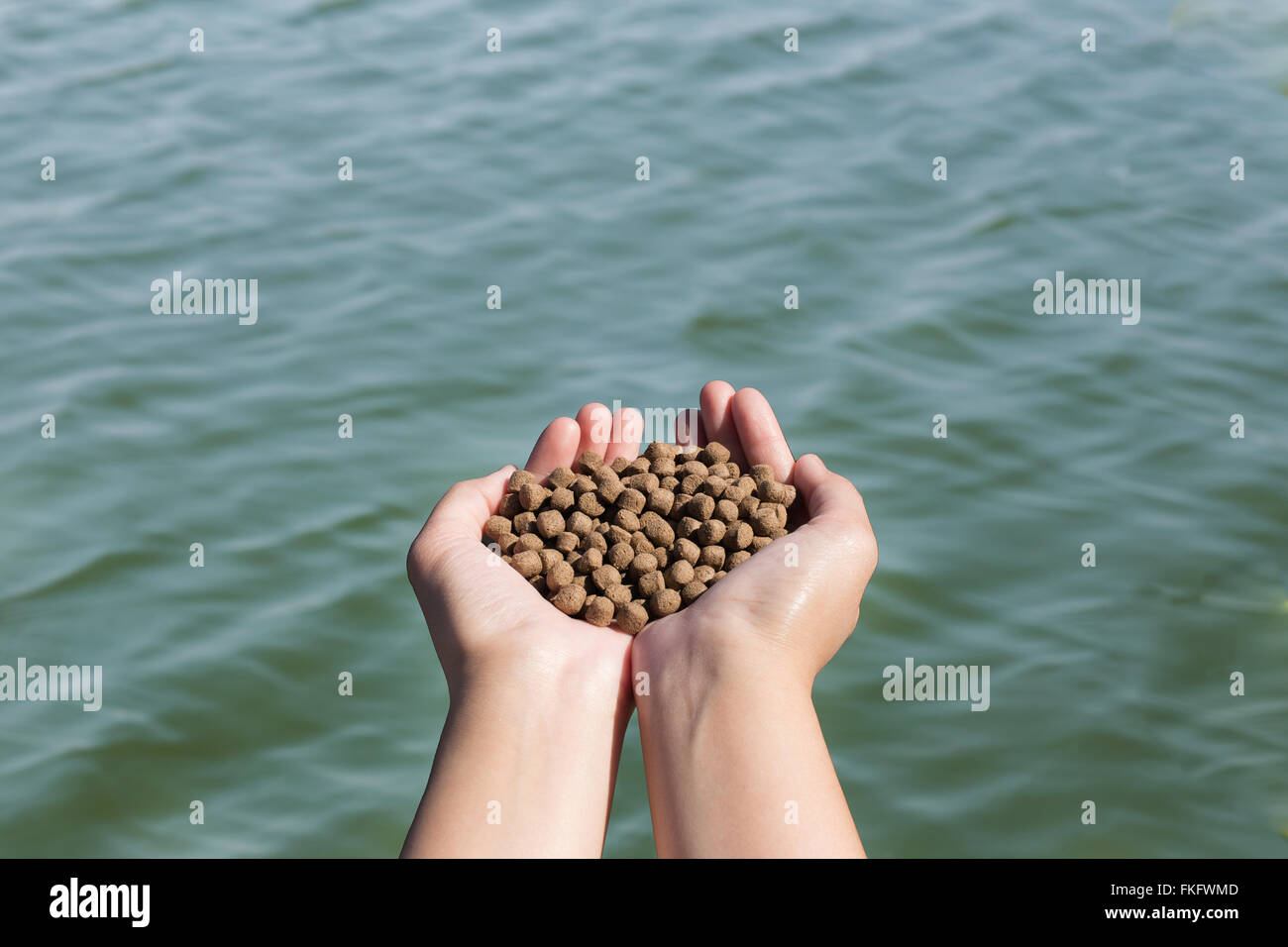 Aquaculture fish feed hi-res stock photography and images - Alamy