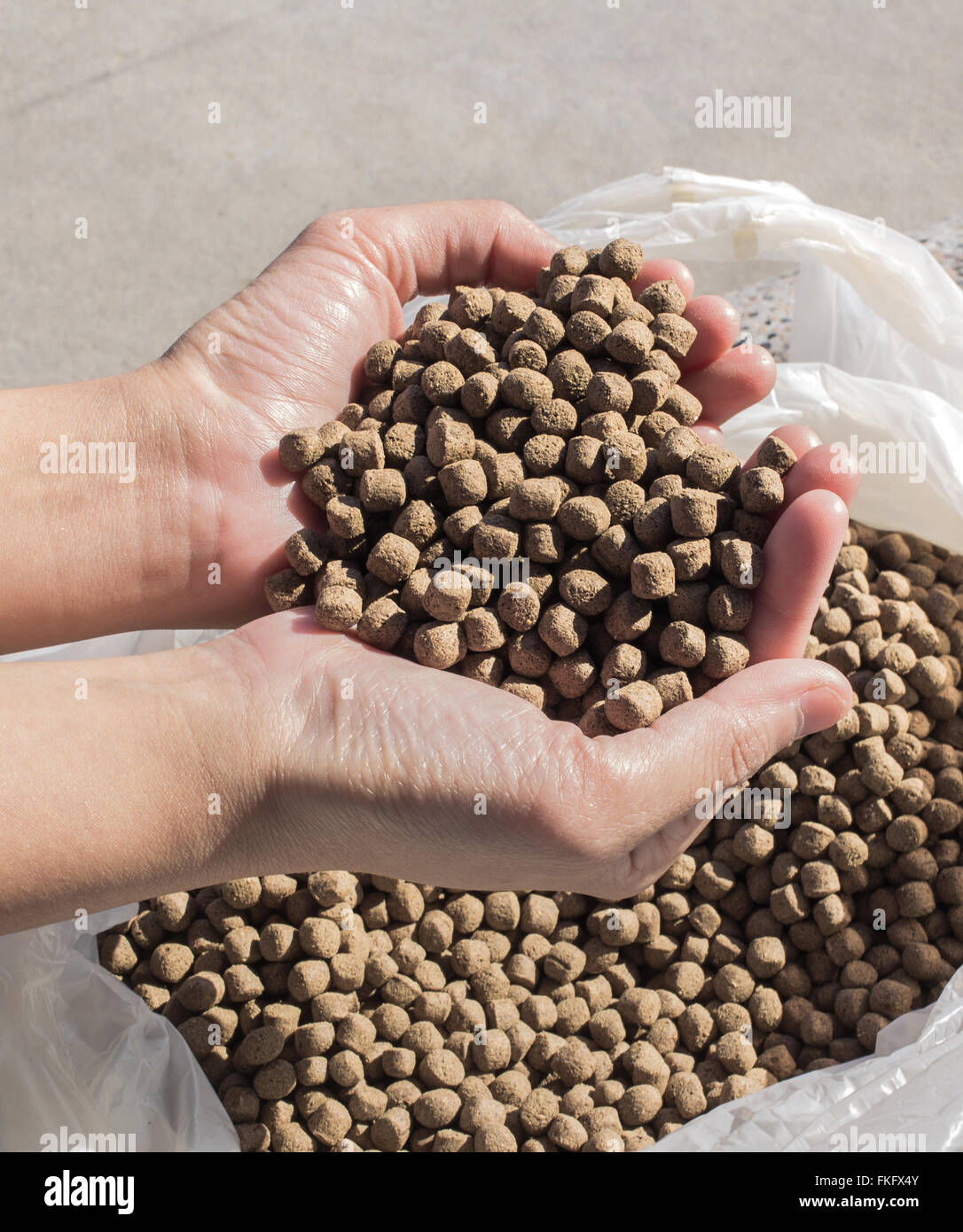 Fish feed hi-res stock photography and images - Alamy
