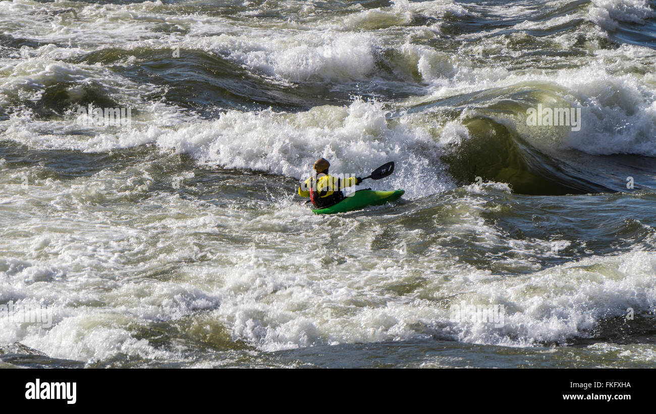 Kayaker navigating the whitewater rapids in the Fraser River as it ...