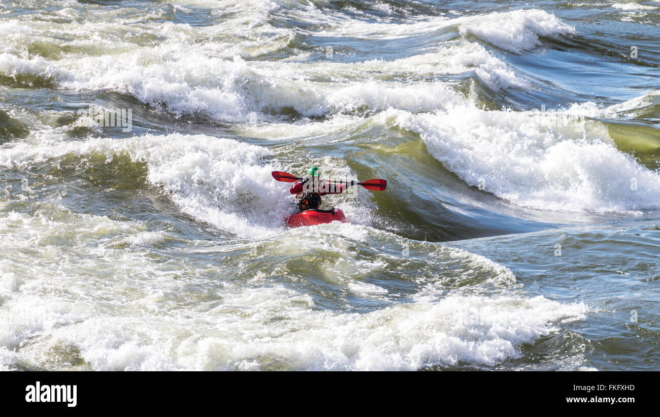 Kayaker navigating the whitewater rapids in the Fraser River as it ...