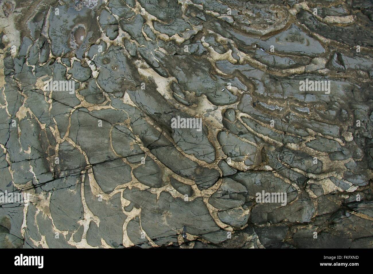 Boulder surface texture in shades of grey and yellow - top view Stock ...