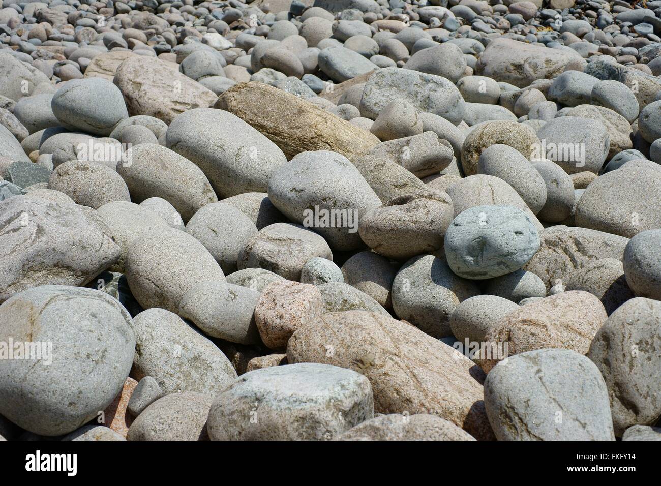 Gray sea pebbles in variety of sizes and colors Stock Photo - Alamy