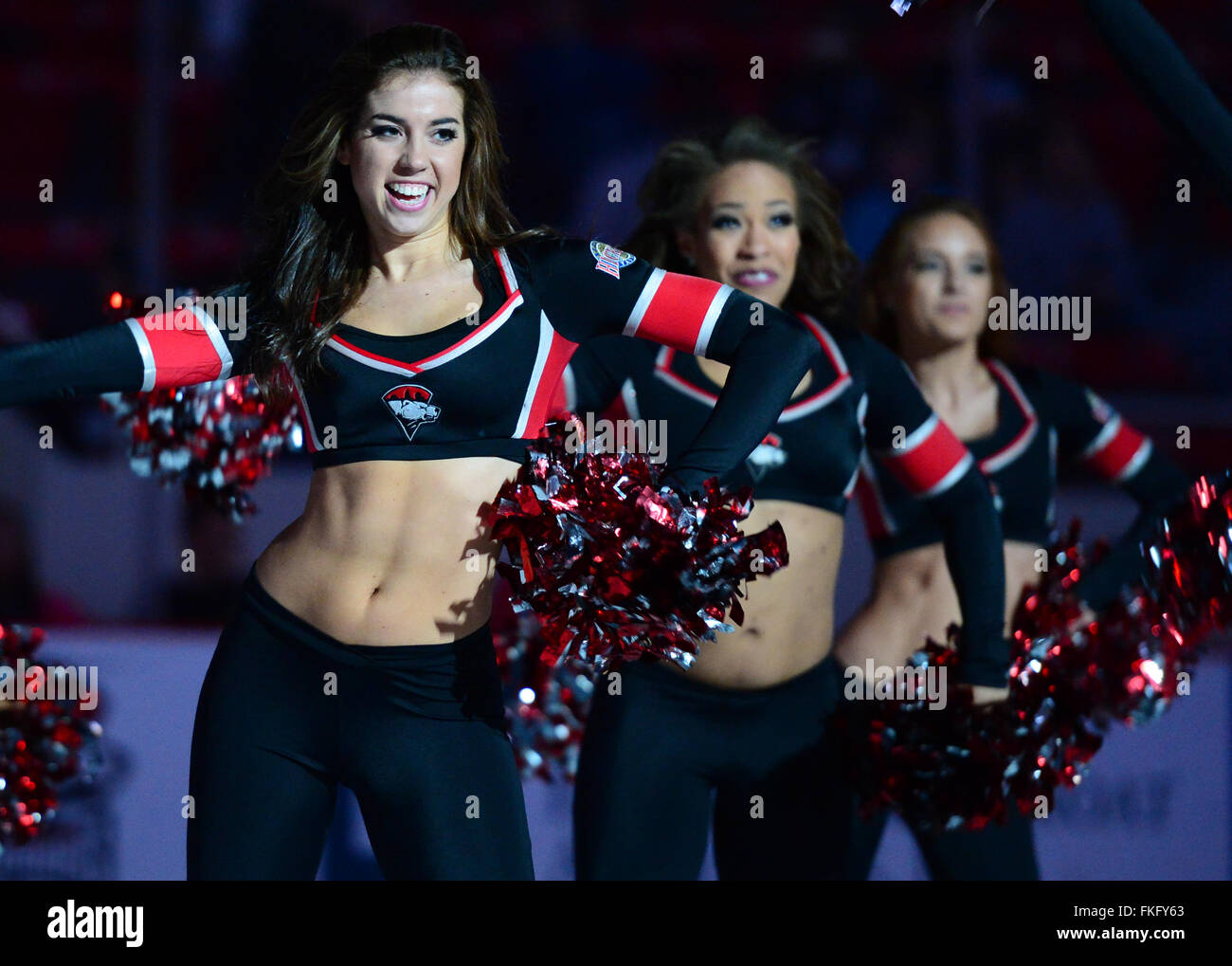 Charlotte, North Carolina, USA. 08th Mar, 2016. Charlotte Checkers ...