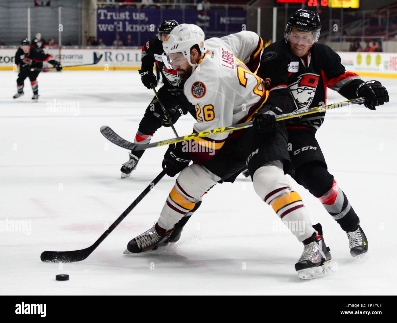Charlotte, North Carolina, USA. 08th Mar, 2016. Chicago Wolves D Hubert ...