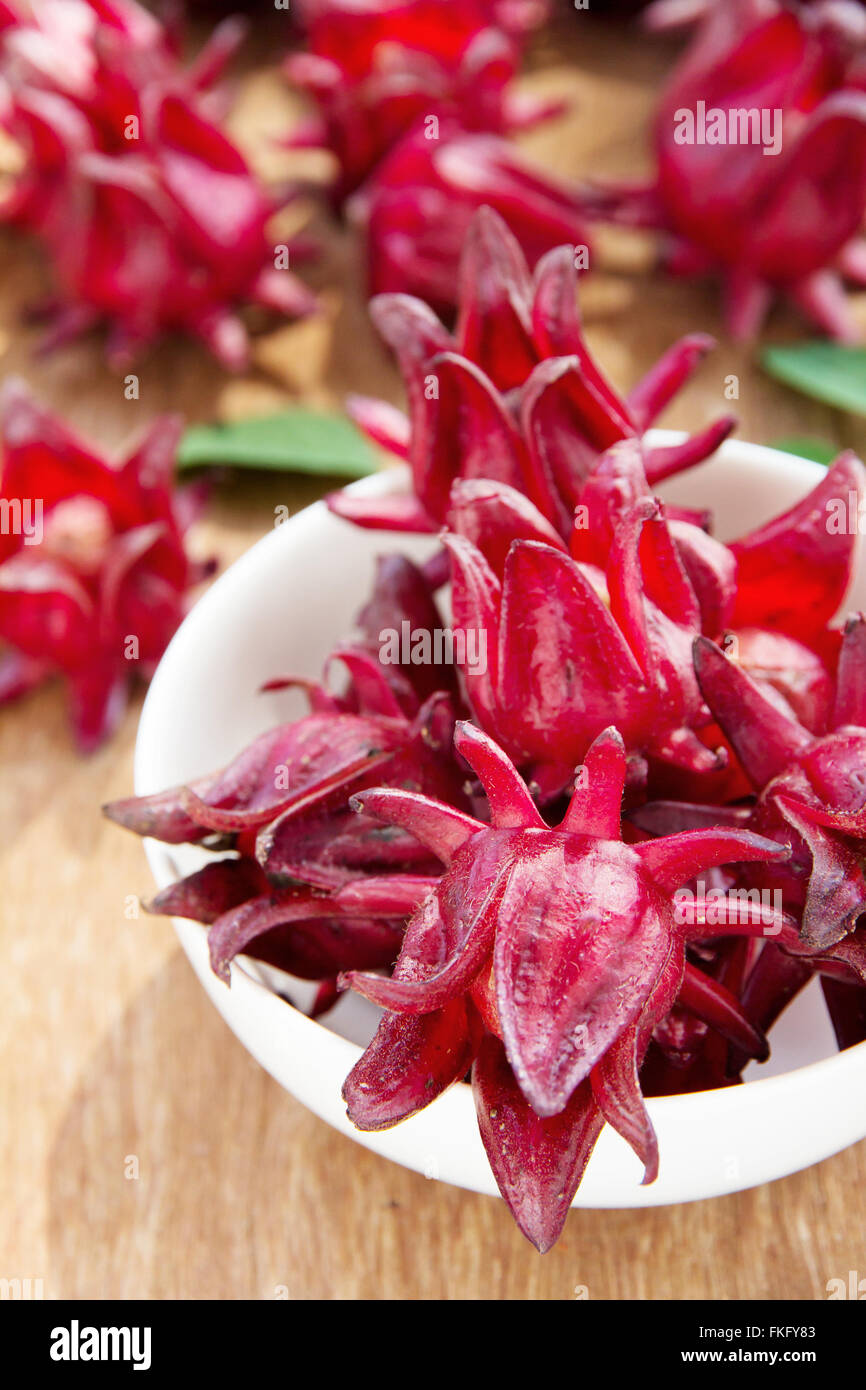 Pink jamaican flower hi-res stock photography and images - Alamy