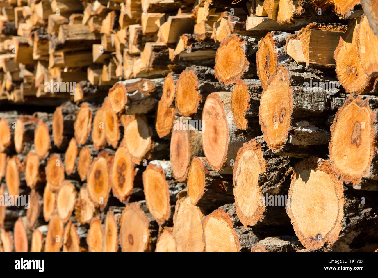 Stacked of firewood Stock Photo - Alamy
