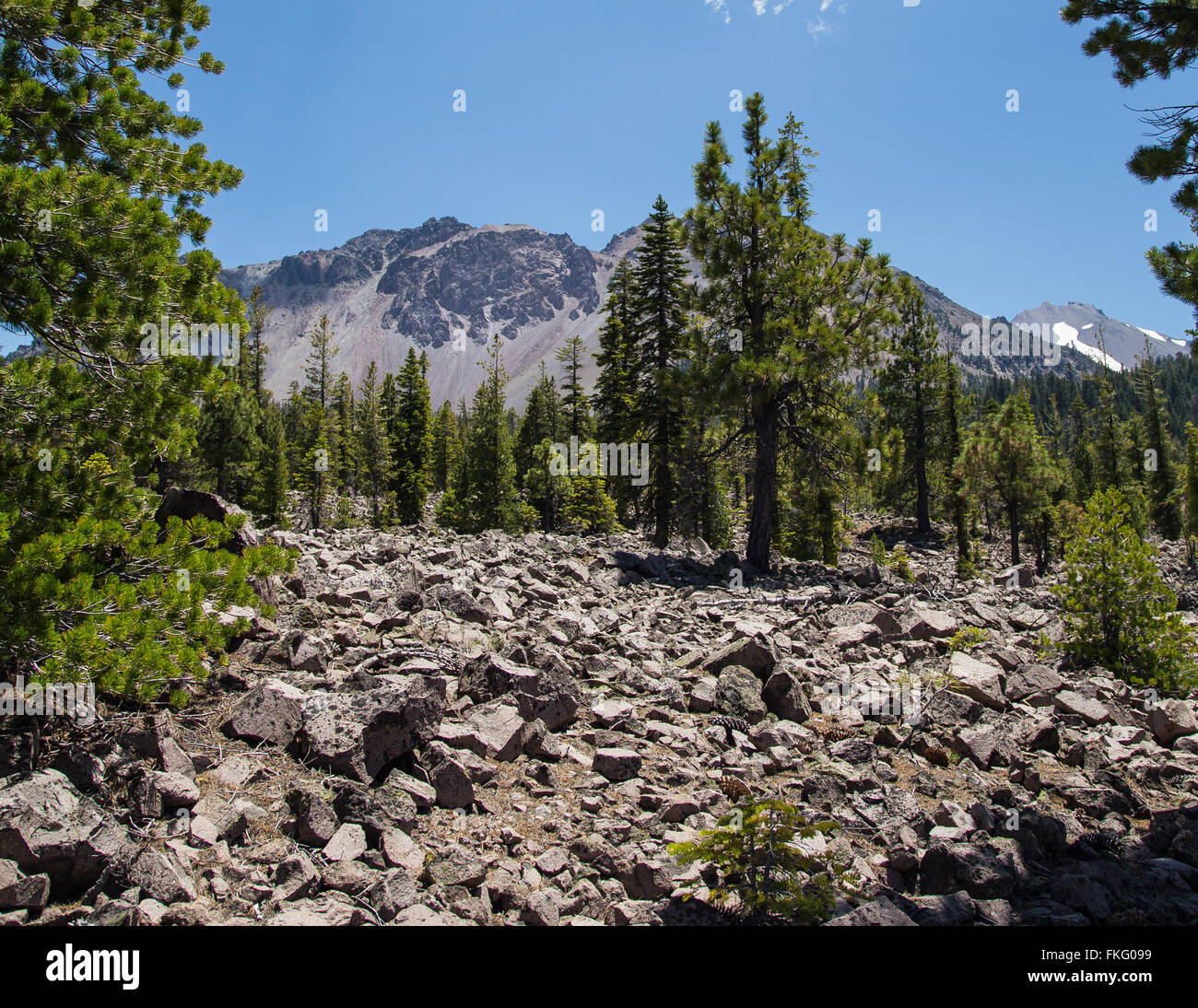 Jumbles country park hi-res stock photography and images - Alamy