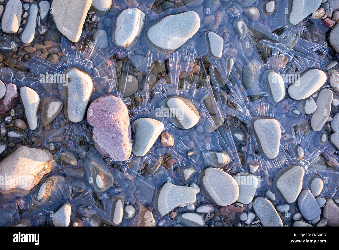 Pebbles in ice hi-res stock photography and images - Alamy