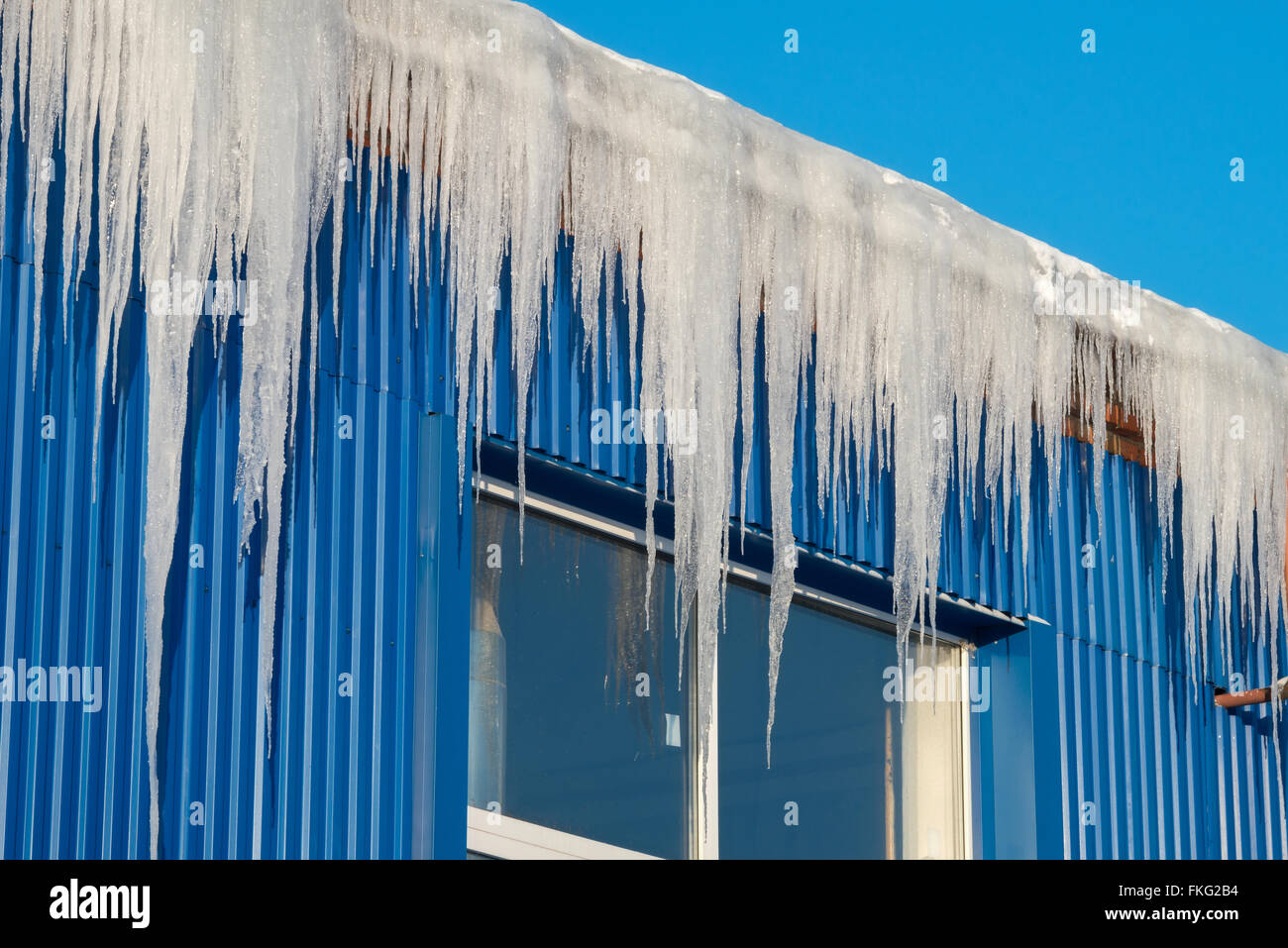 Large icicles hanging from the roof Stock Photo - Alamy