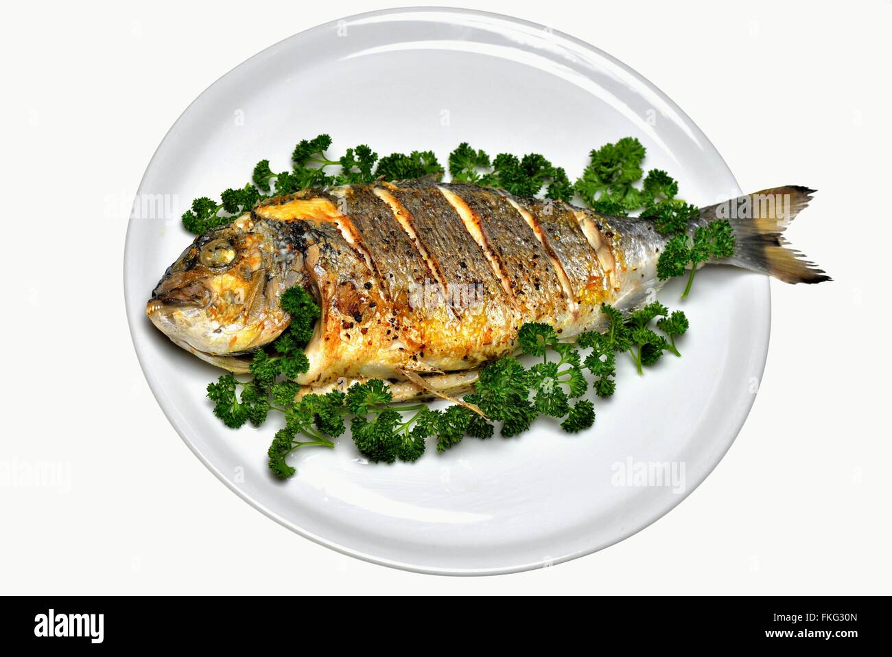 Dorade rose hi-res stock photography and images - Alamy