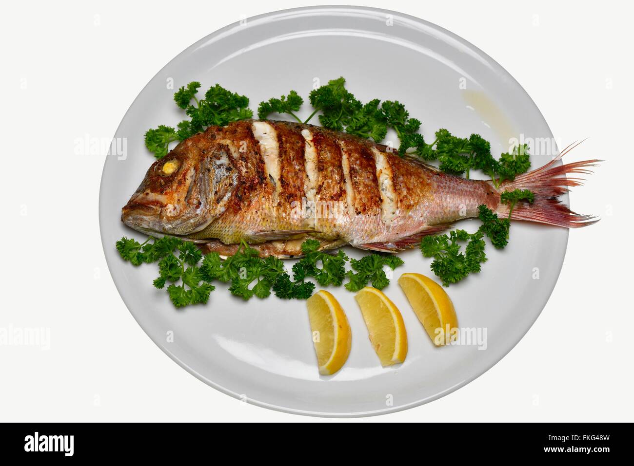 Dorade rose hi-res stock photography and images - Alamy