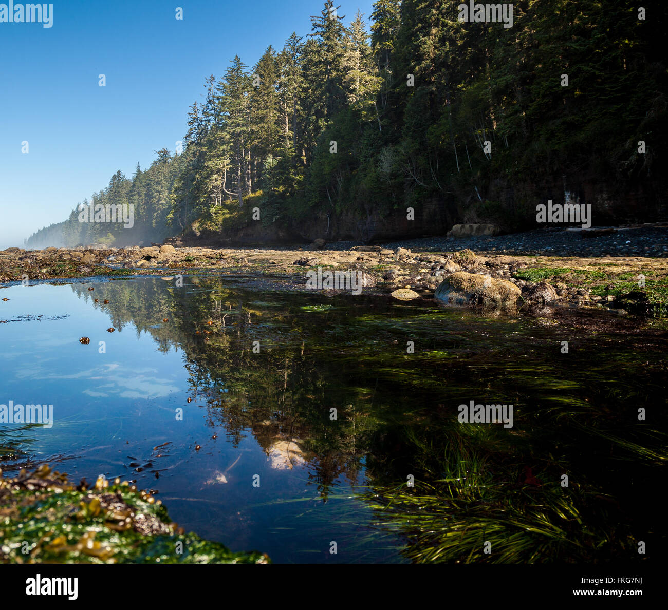 China beach vancouver island hi-res stock photography and images - Alamy