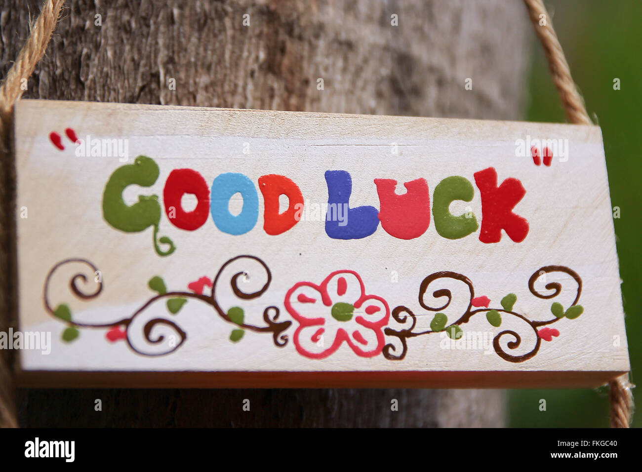 Word good luck on white wood baord with Palm tree background Stock ...