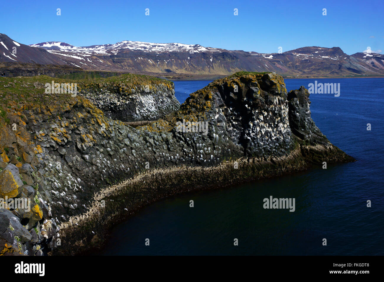 Shoreline and cliffs of Arnarstapi nature reserve with birds nesting ...