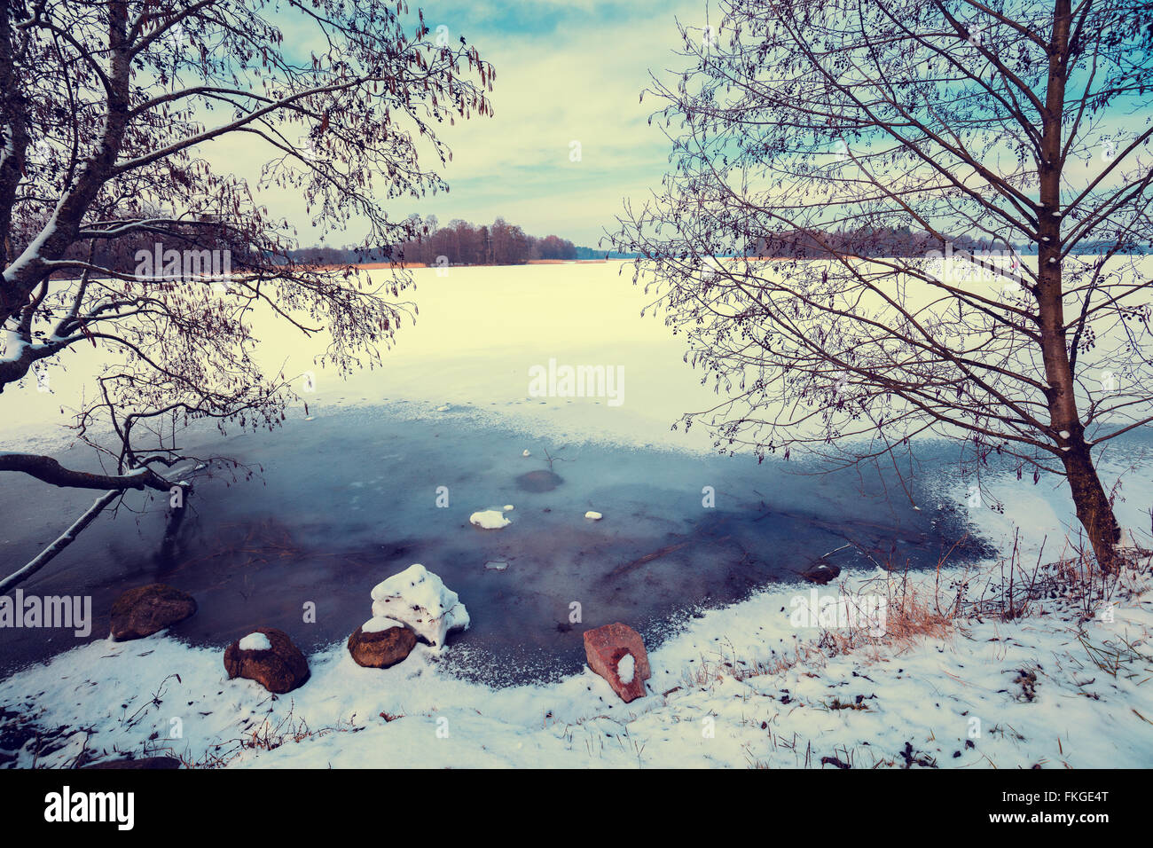 Frozen lake in winter with trees Stock Photo - Alamy