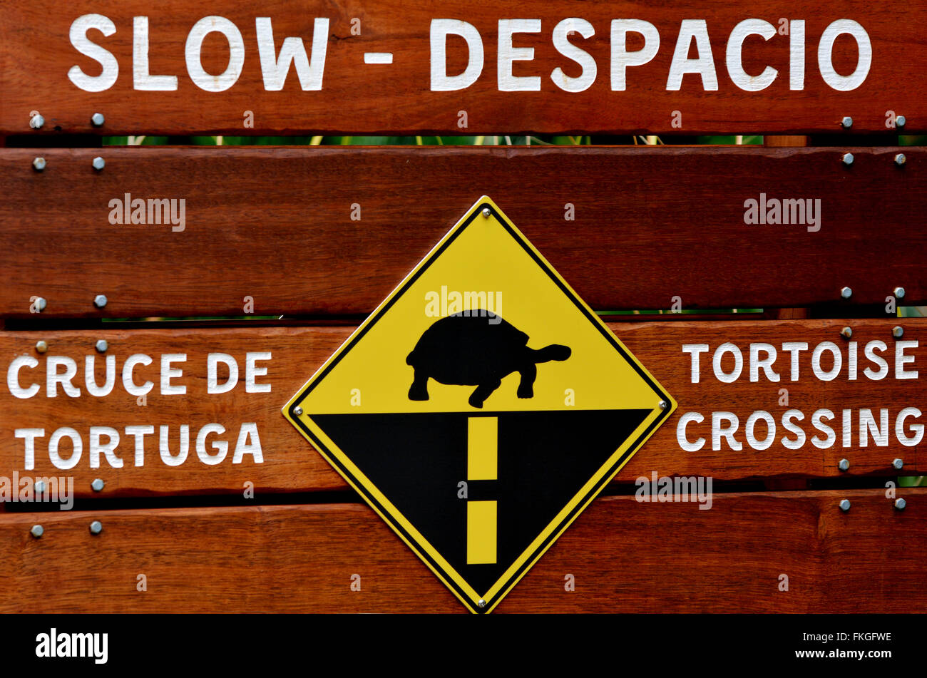 Tortoise Crossing Sign High Resolution Stock Photography and Images - Alamy