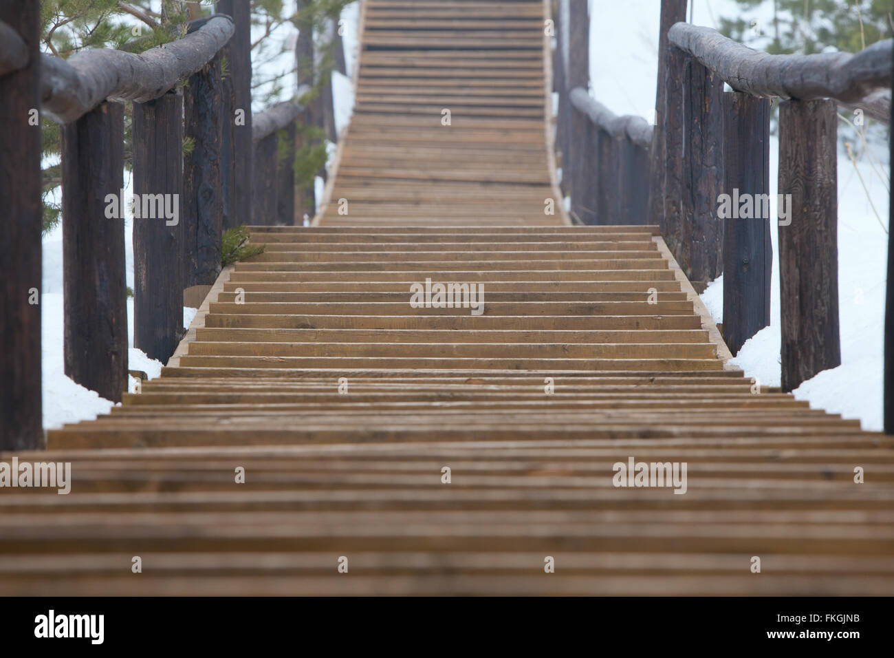 The track is made of wood in the forest Stock Photo - Alamy