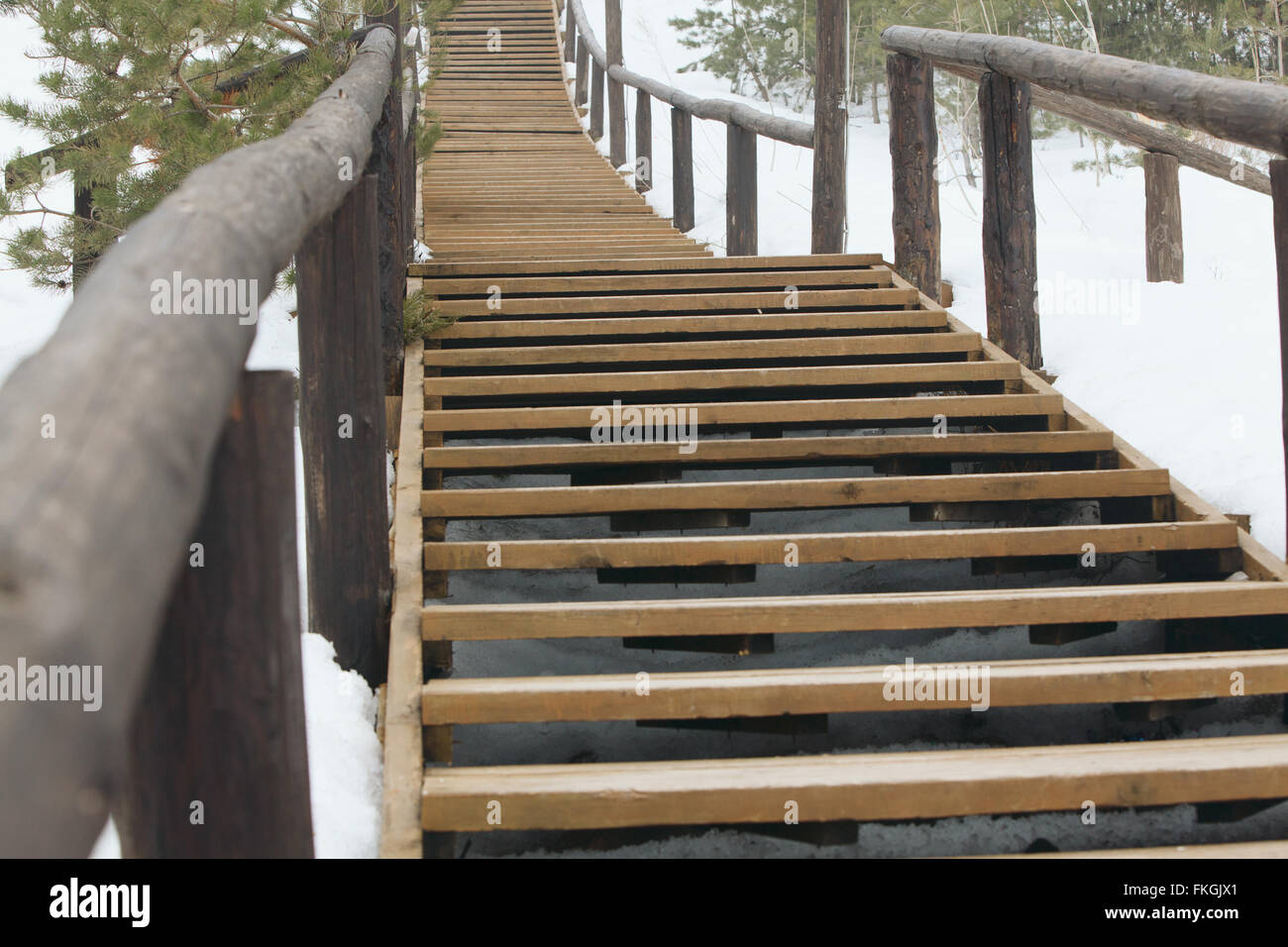 The track is made of wood in the forest Stock Photo - Alamy