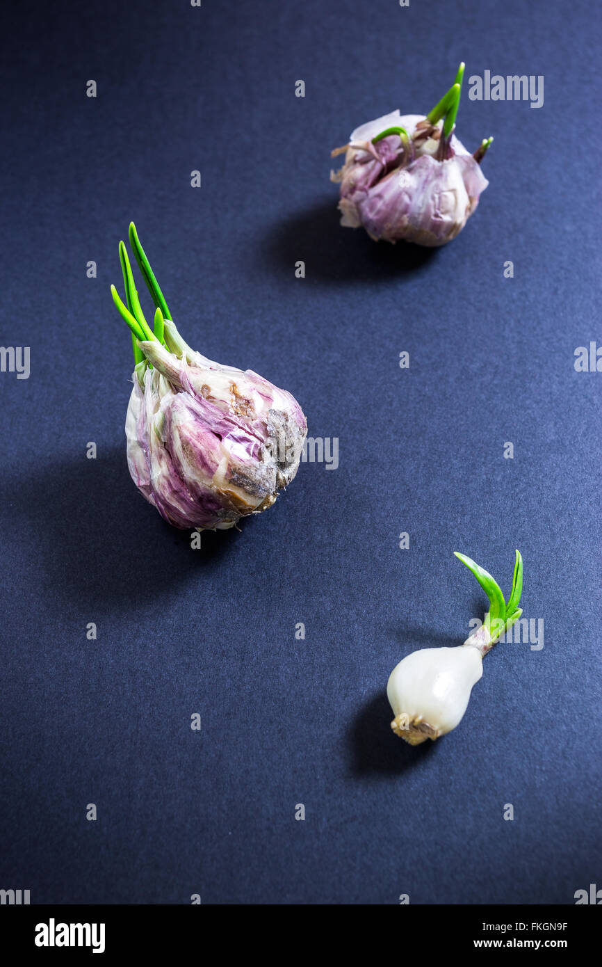 Cloves of garlic.Cornered garlic and rotten Stock Photo - Alamy