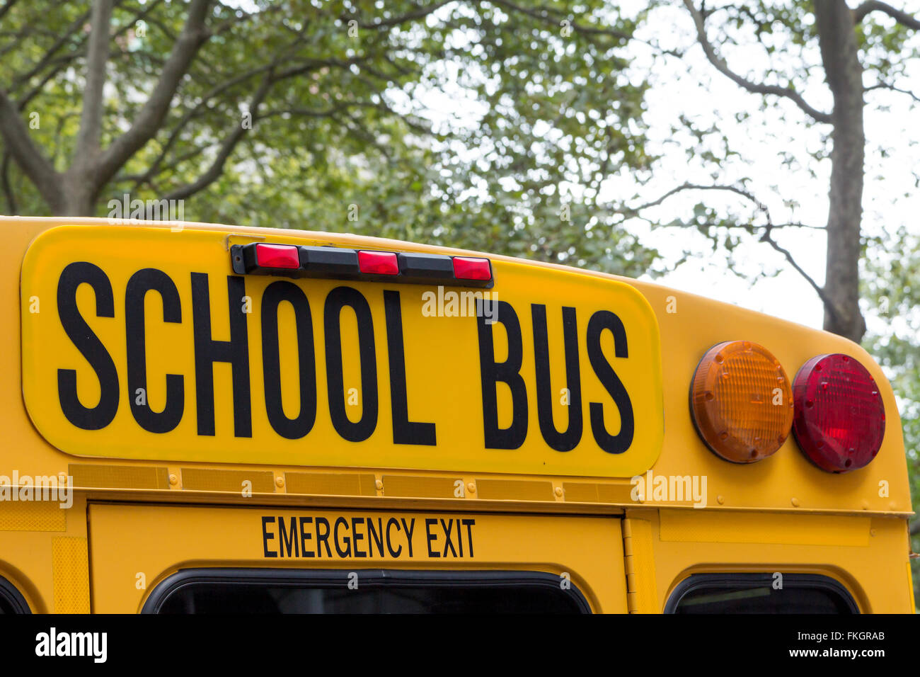 Yellow back of school bus with a sign is standing in the park. Sign ...