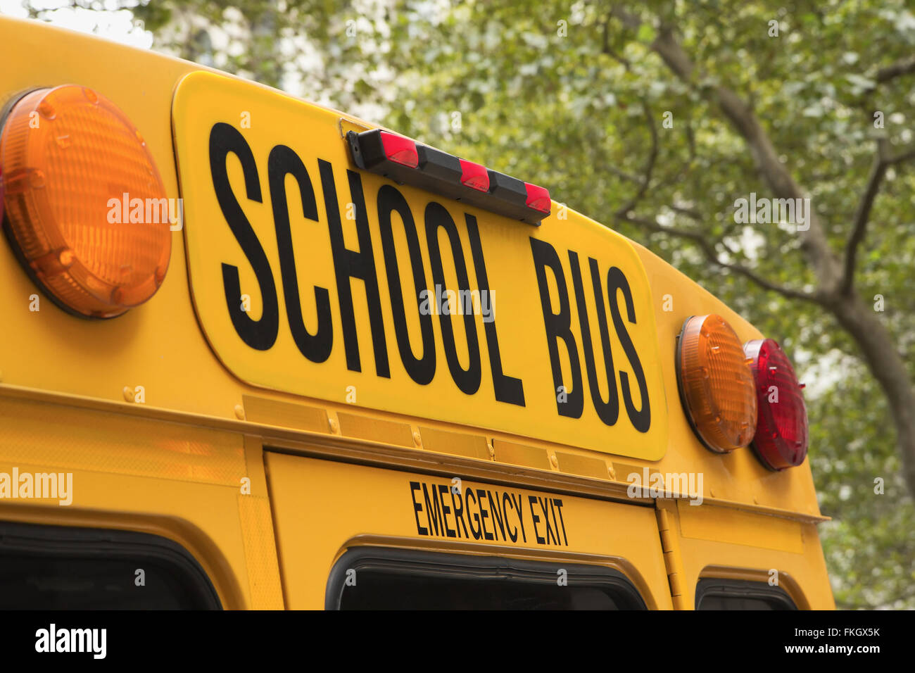 Yellow back of school bus with a sign "School Bus Stock Photo - Alamy