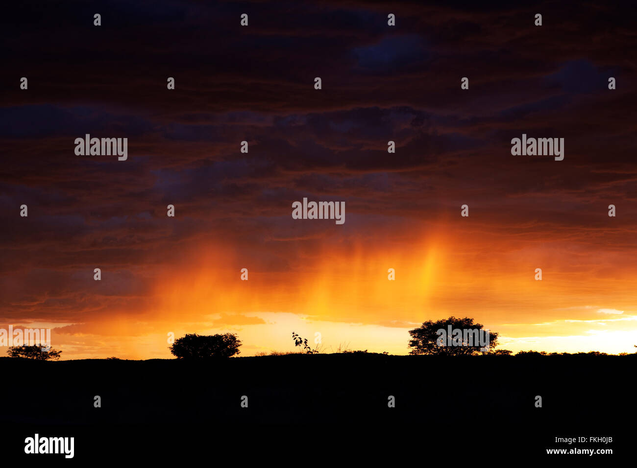 A scenic view of bursting clouds in the Etosha National Park Namibia ...