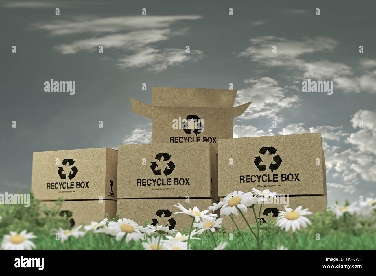 recycle boxes on green grass Stock Photo - Alamy