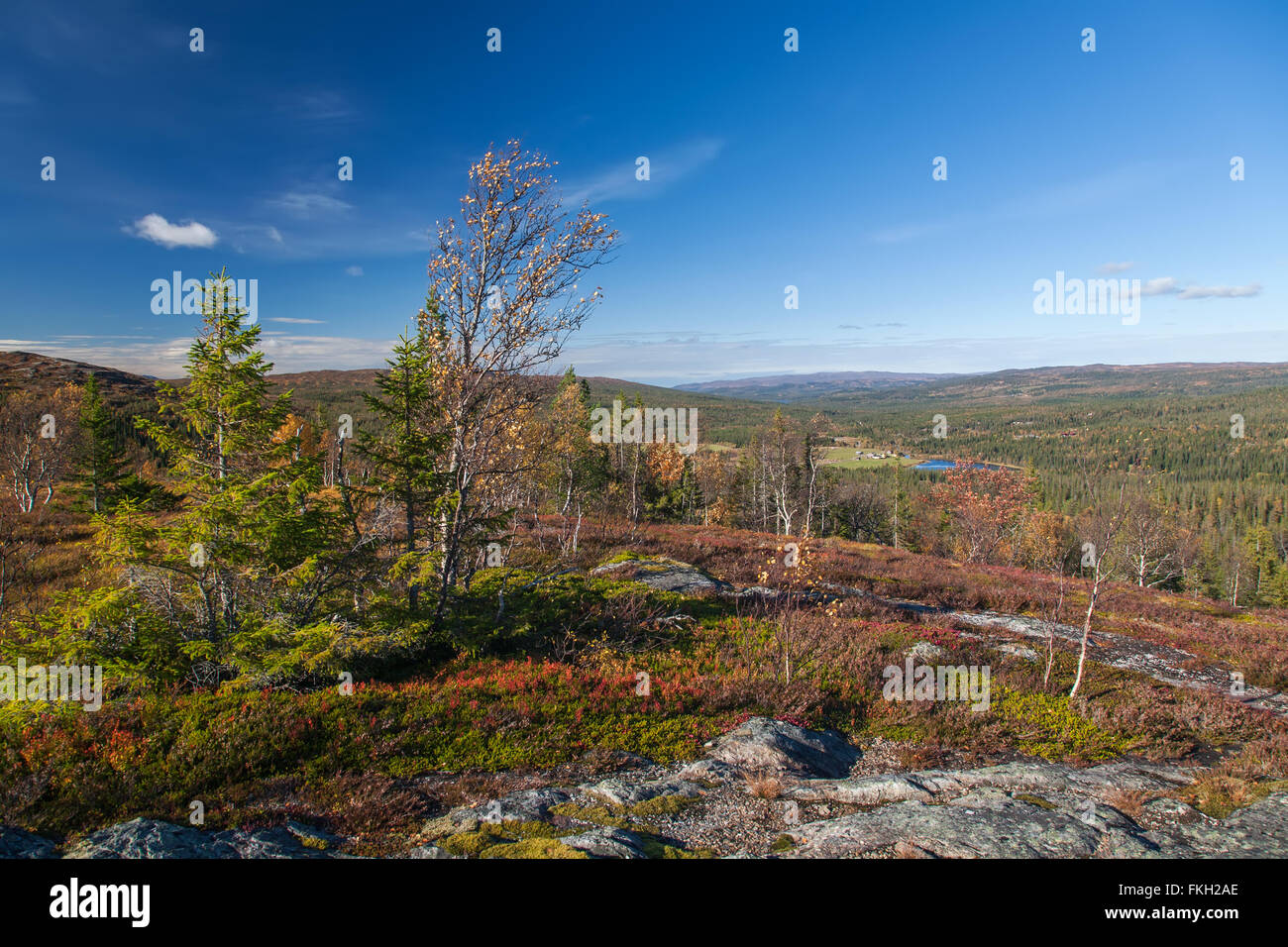 Norway Nature Scandinavian North Travel Landscapes Stock Photo - Alamy
