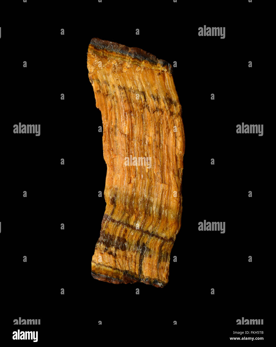 Tiger eye texture hi-res stock photography and images - Alamy