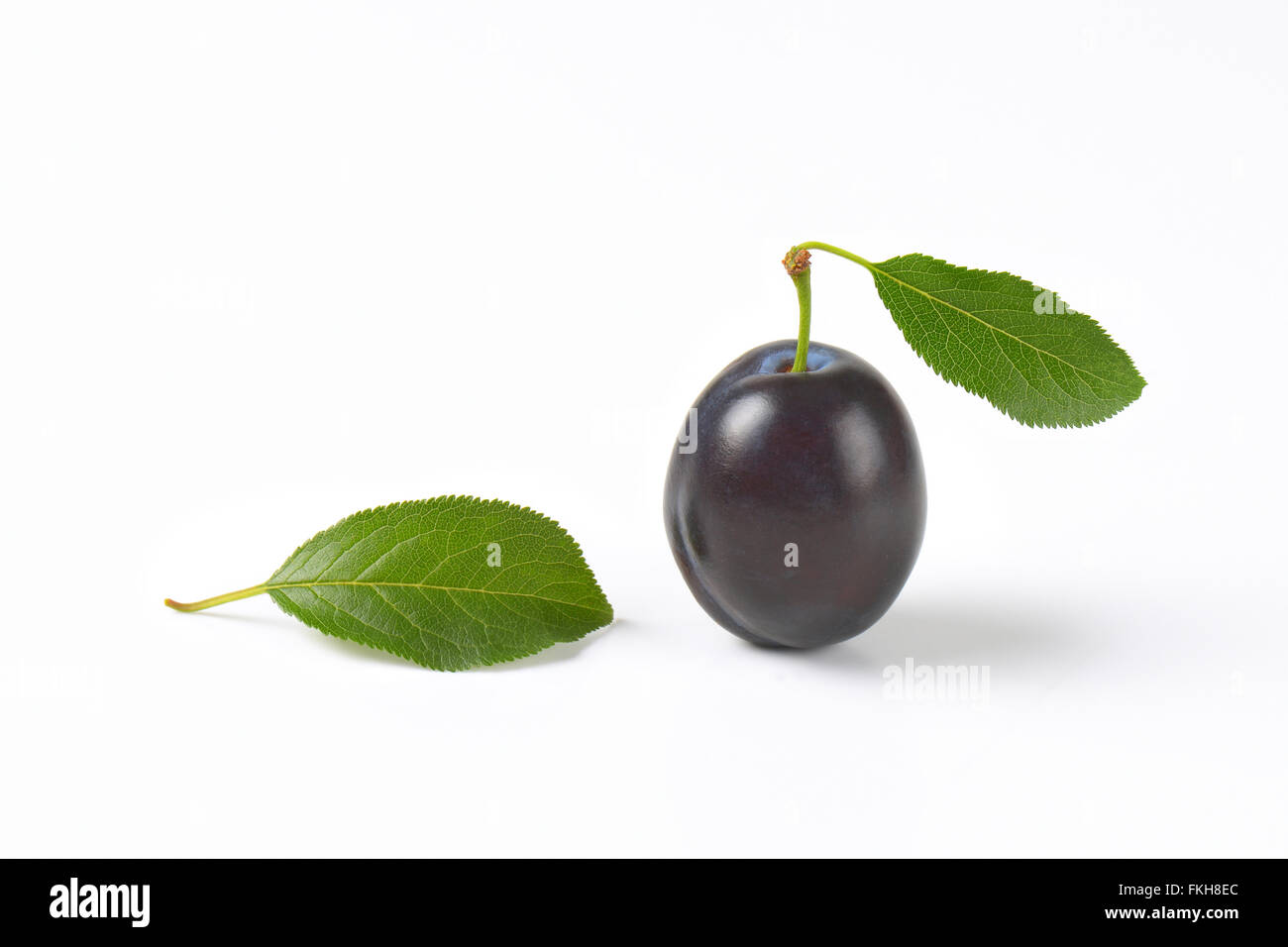Ripe plum leaves on Cut Out Stock Images & Pictures - Alamy