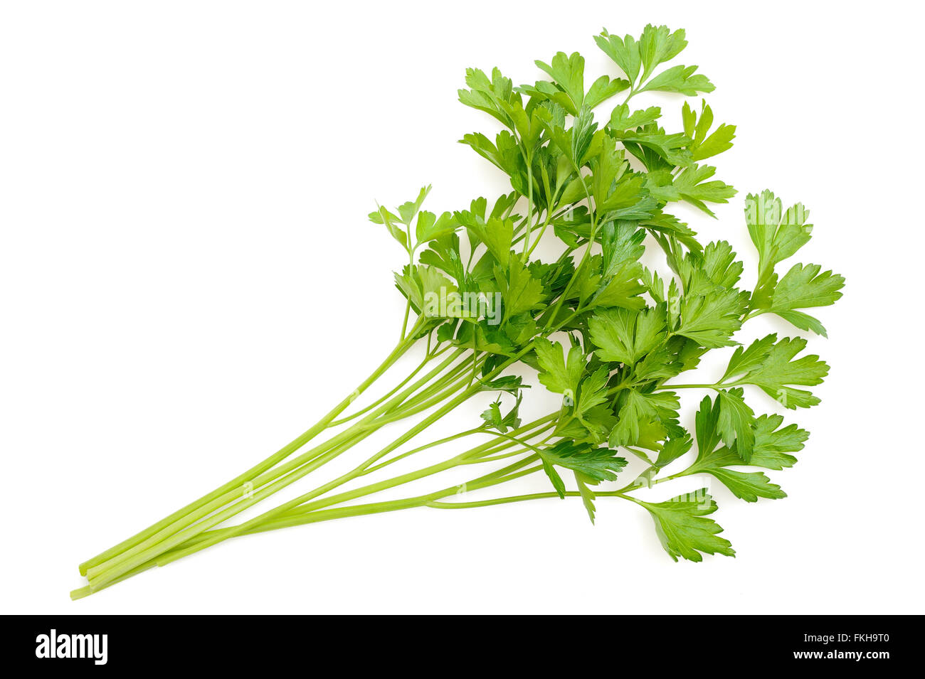 Fresh parsley sprig isolated on white background Stock Photo - Alamy