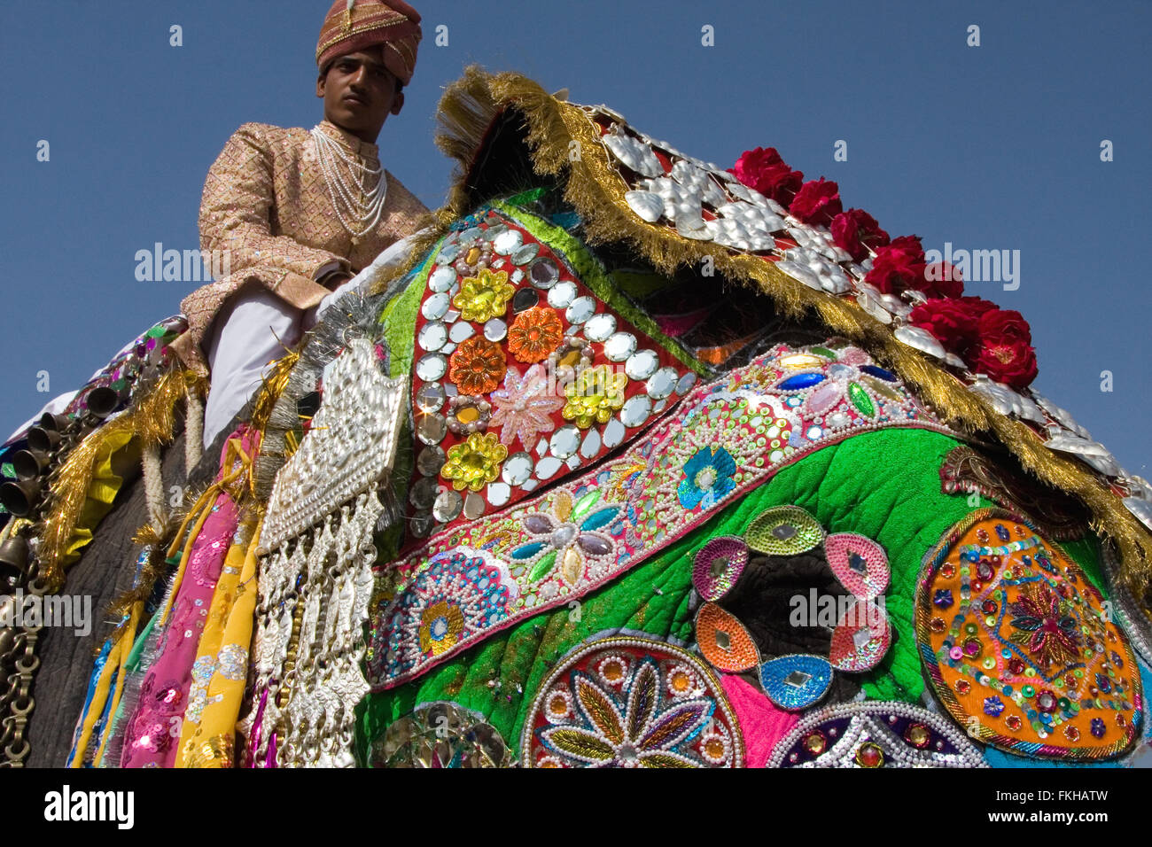 During elephant festival during holi,Hindu celebration in Jaipur ...
