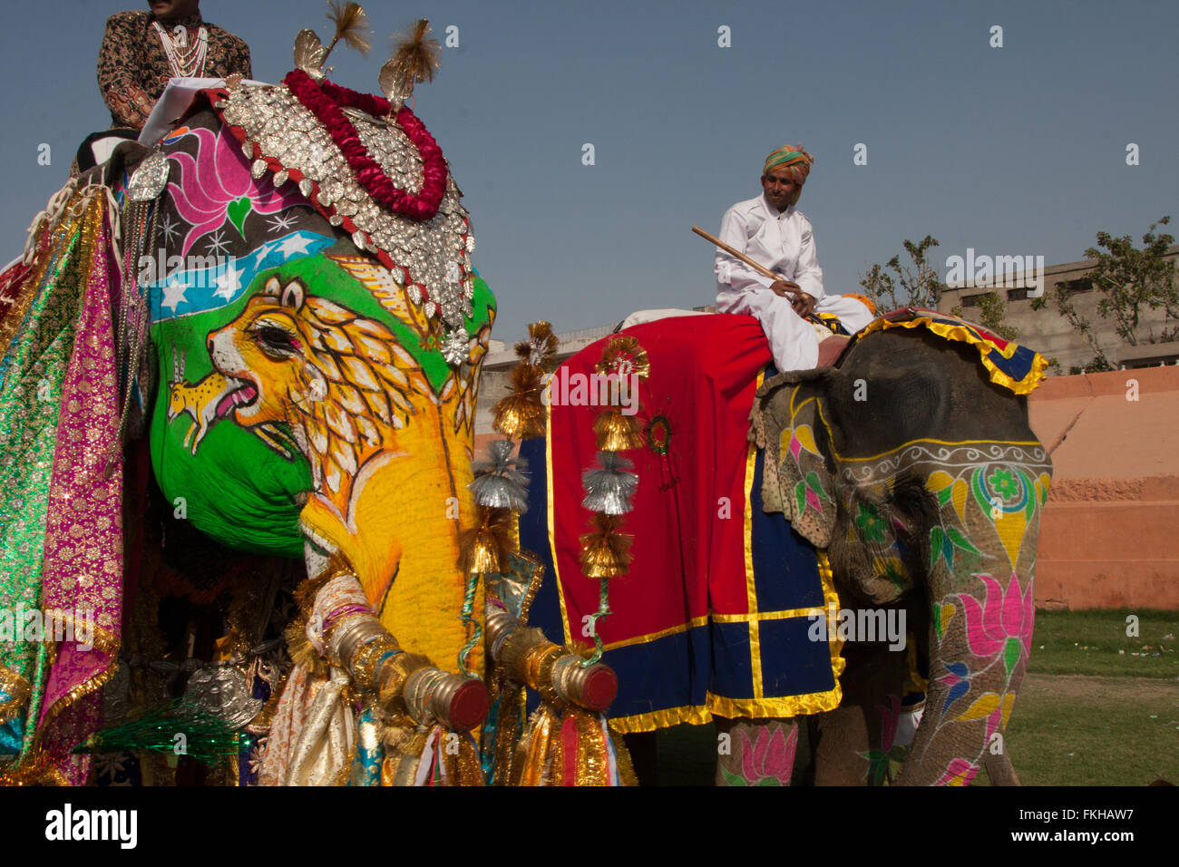 During elephant festival during holi,Hindu celebration in Jaipur ...