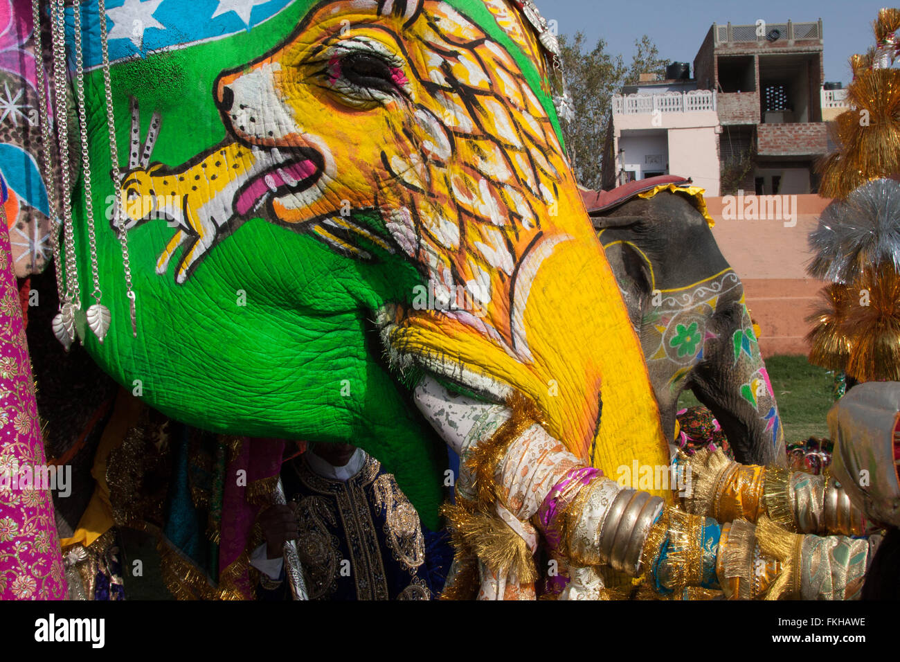 During elephant festival during holi,Hindu celebration in Jaipur ...