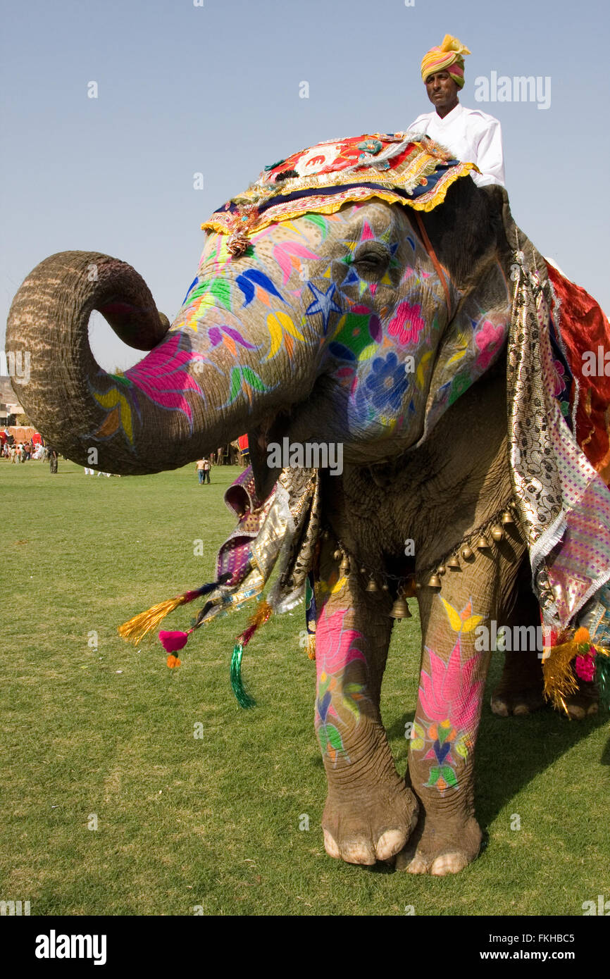 During elephant festival during holi,Hindu celebration in Jaipur ...