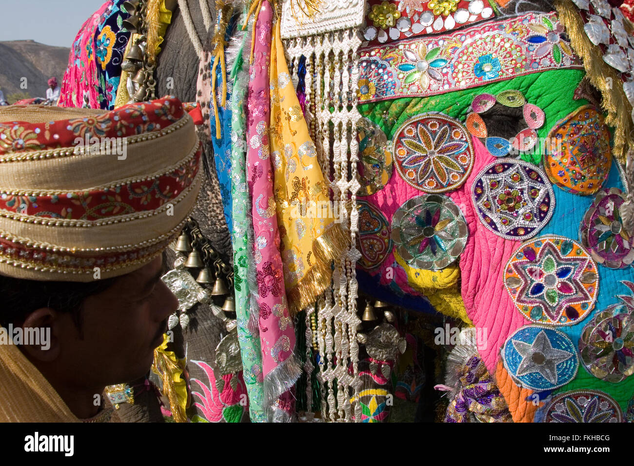 During elephant festival during holi,Hindu celebration in Jaipur ...