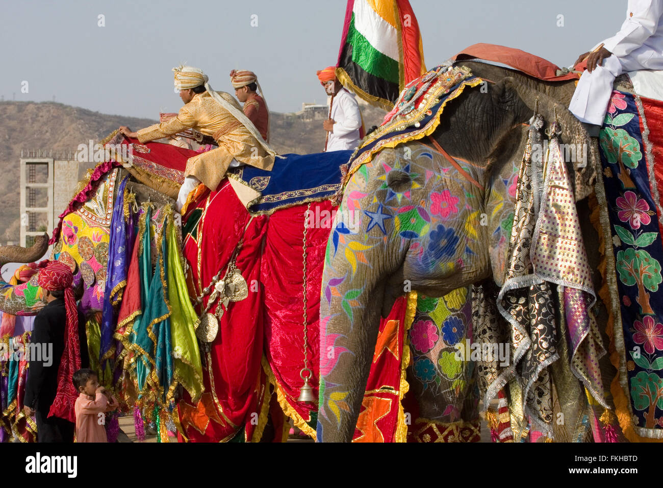During elephant festival during holi,Hindu celebration in Jaipur ...