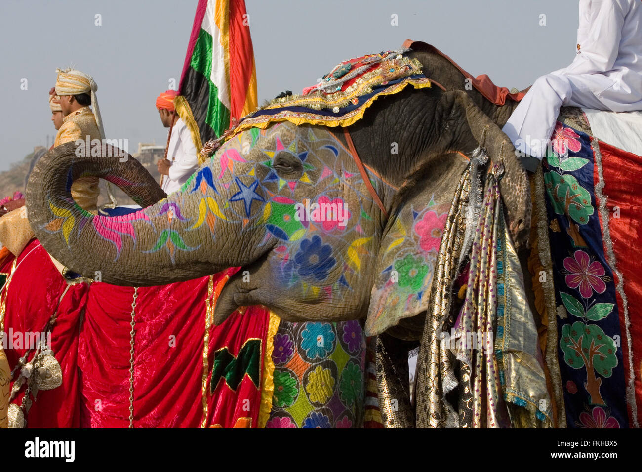 During elephant festival during holi,Hindu celebration in Jaipur ...