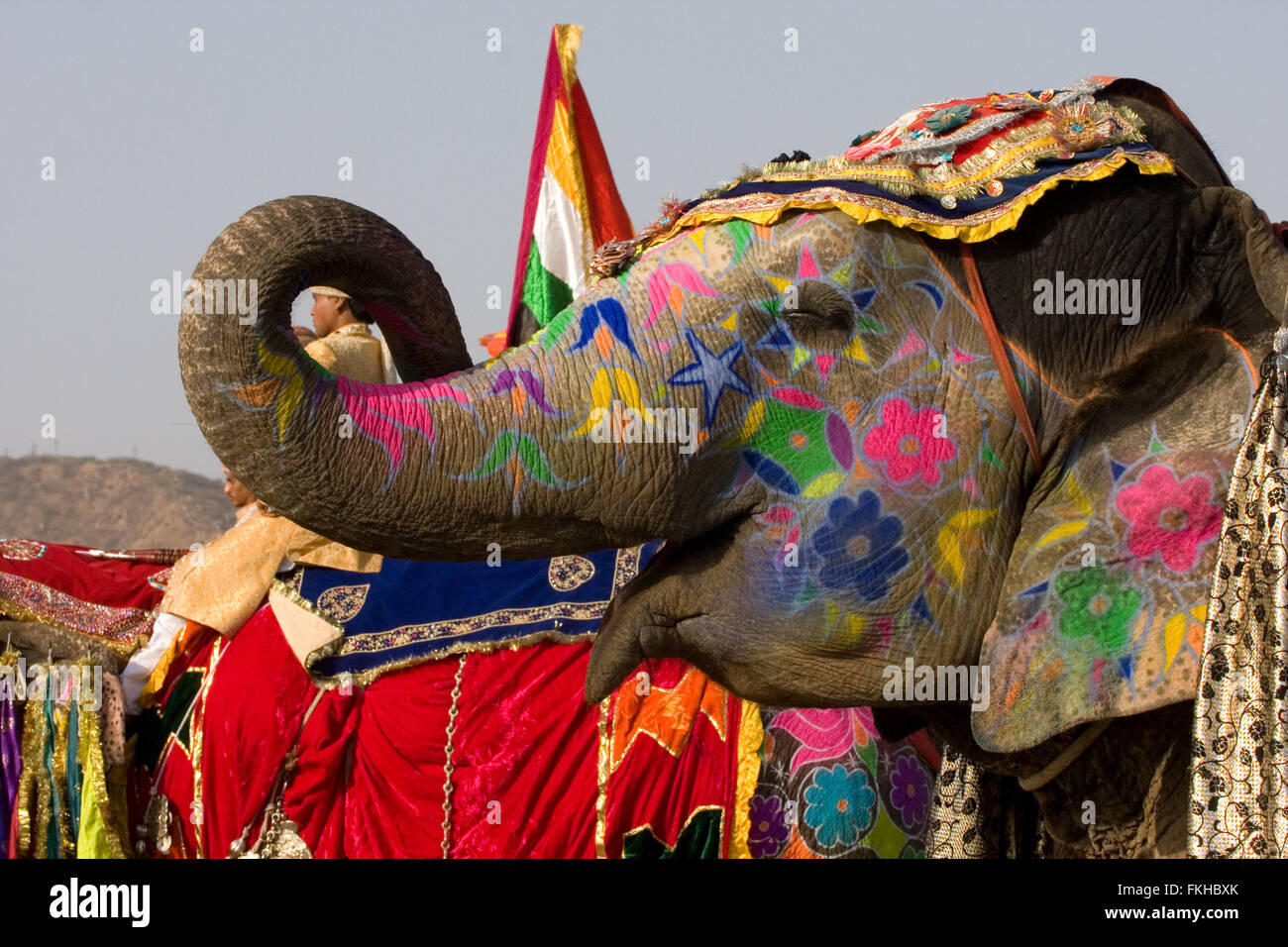During elephant festival during holi,Hindu celebration in Jaipur ...