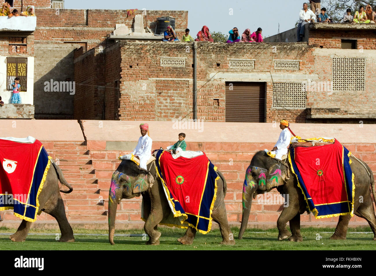 During elephant festival during holi,Hindu celebration in Jaipur ...
