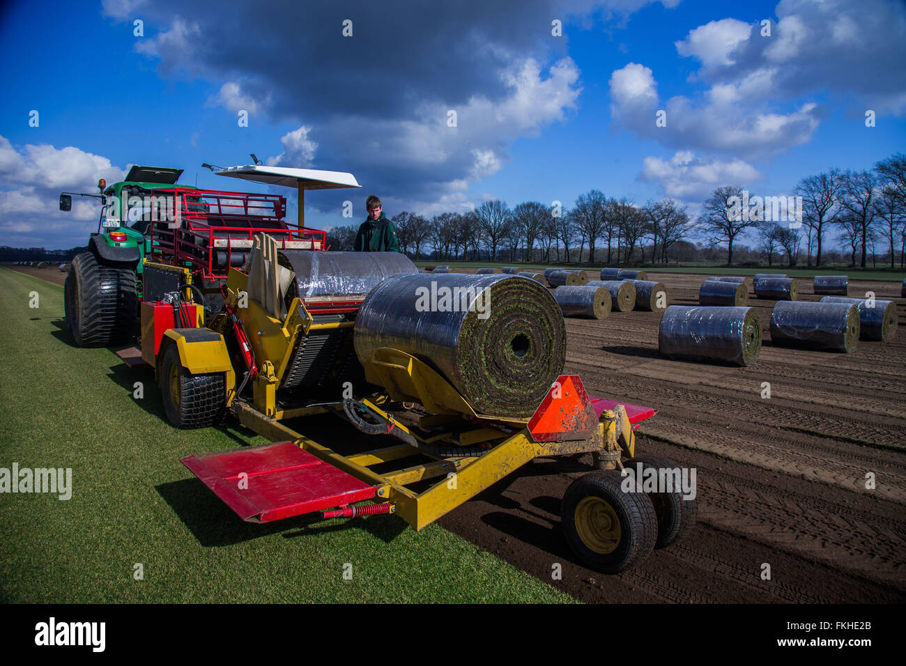 A staff member operates a special machine that peels and rolls up ...