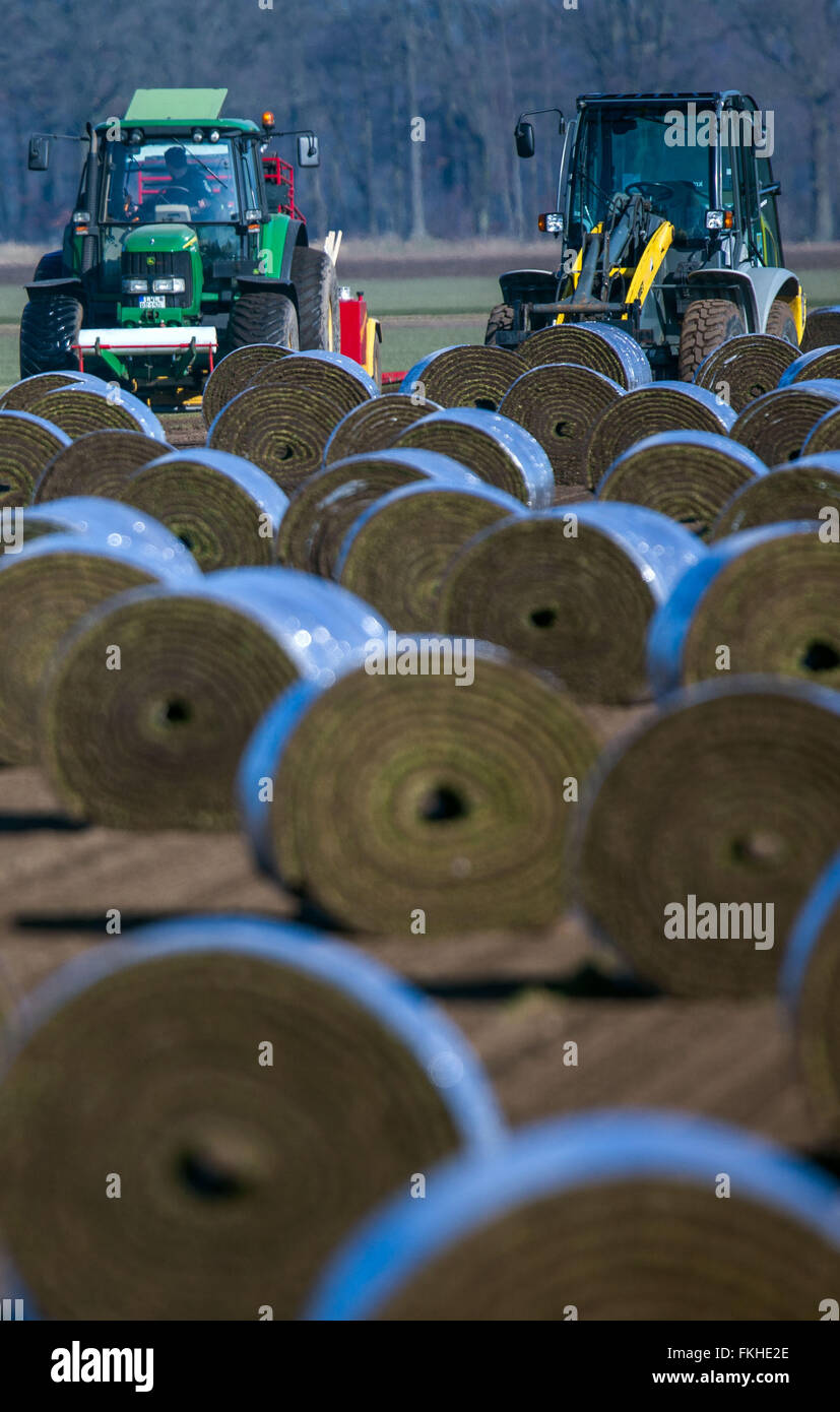 Staff members operate a special machine that peels and rolls up metres ...