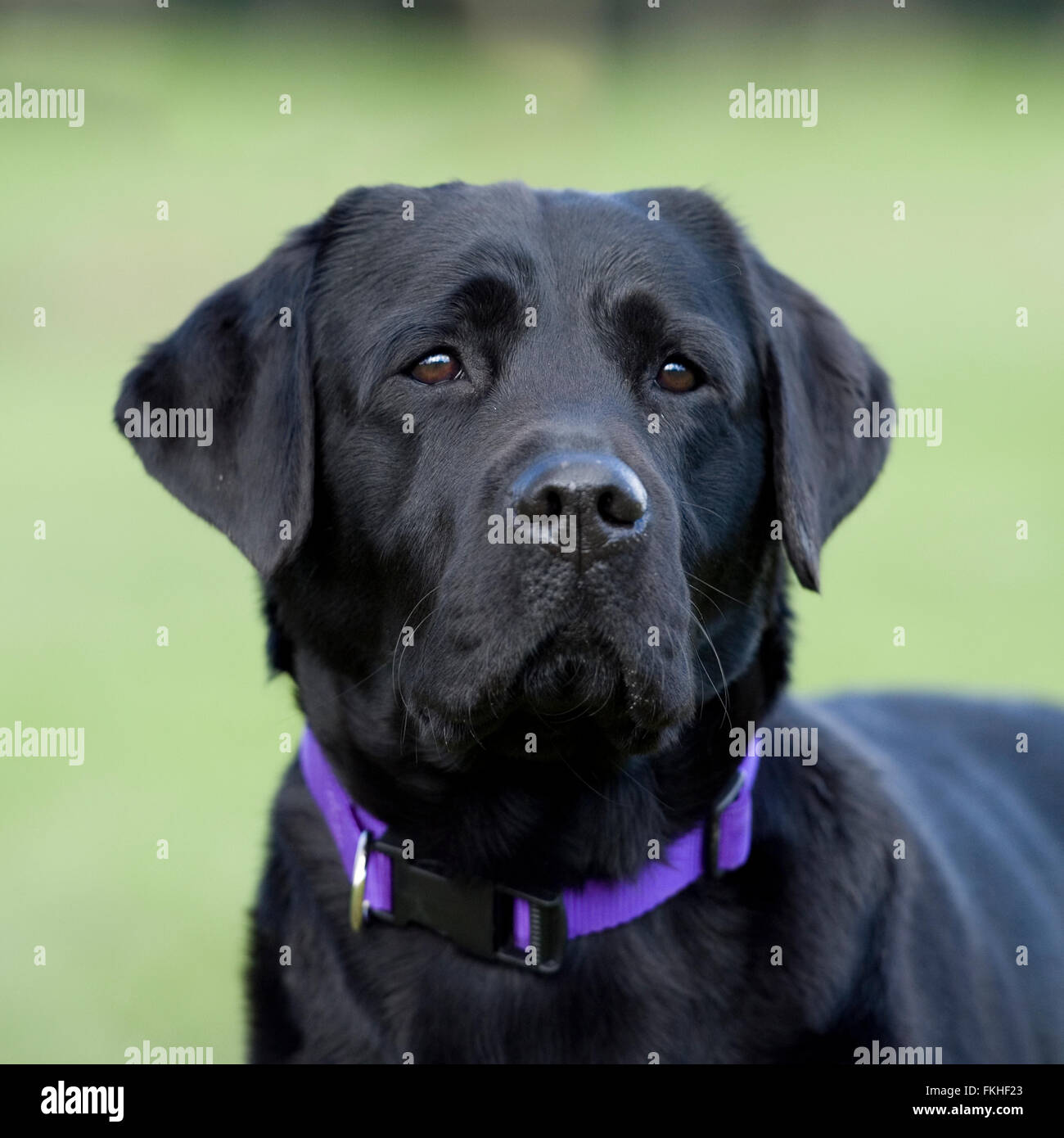 Close up black camera hi-res stock photography and images - Alamy