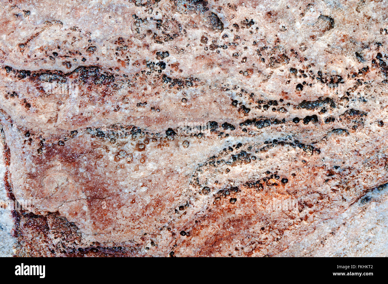 Sea stone texture Stock Photo - Alamy