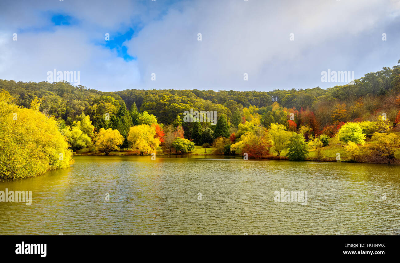 Beautiful autumn scene with colourful trees around the pond Stock Photo ...