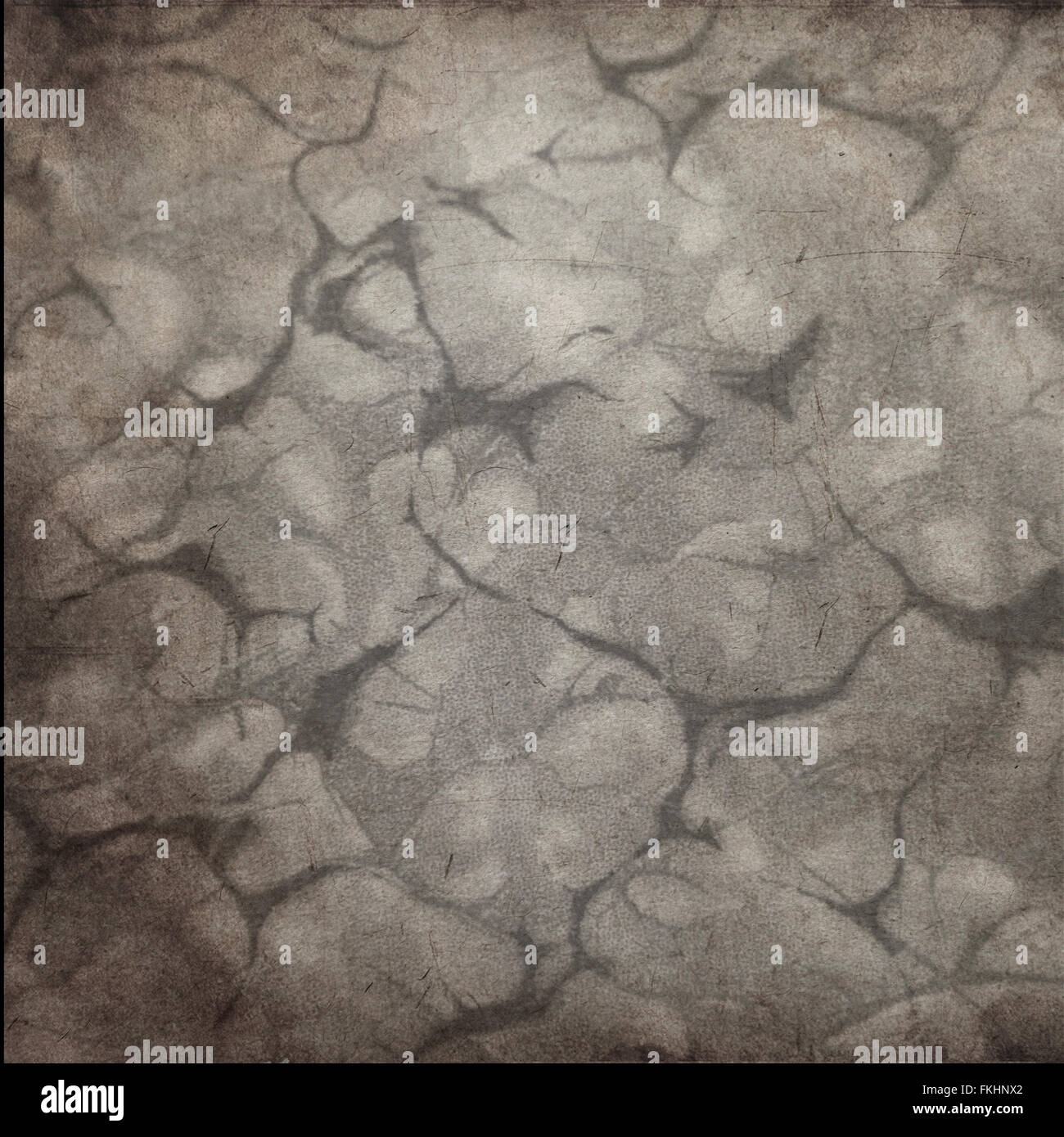 Old treasure map background texture hi-res stock photography and images ...