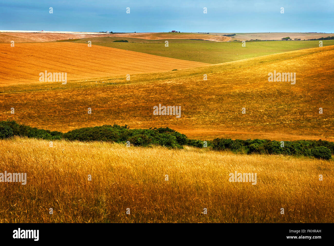 beautiful golden fields and hills in autumn Stock Photo - Alamy