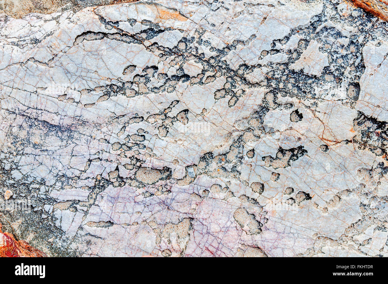 Colorful texture of sea stone Stock Photo - Alamy
