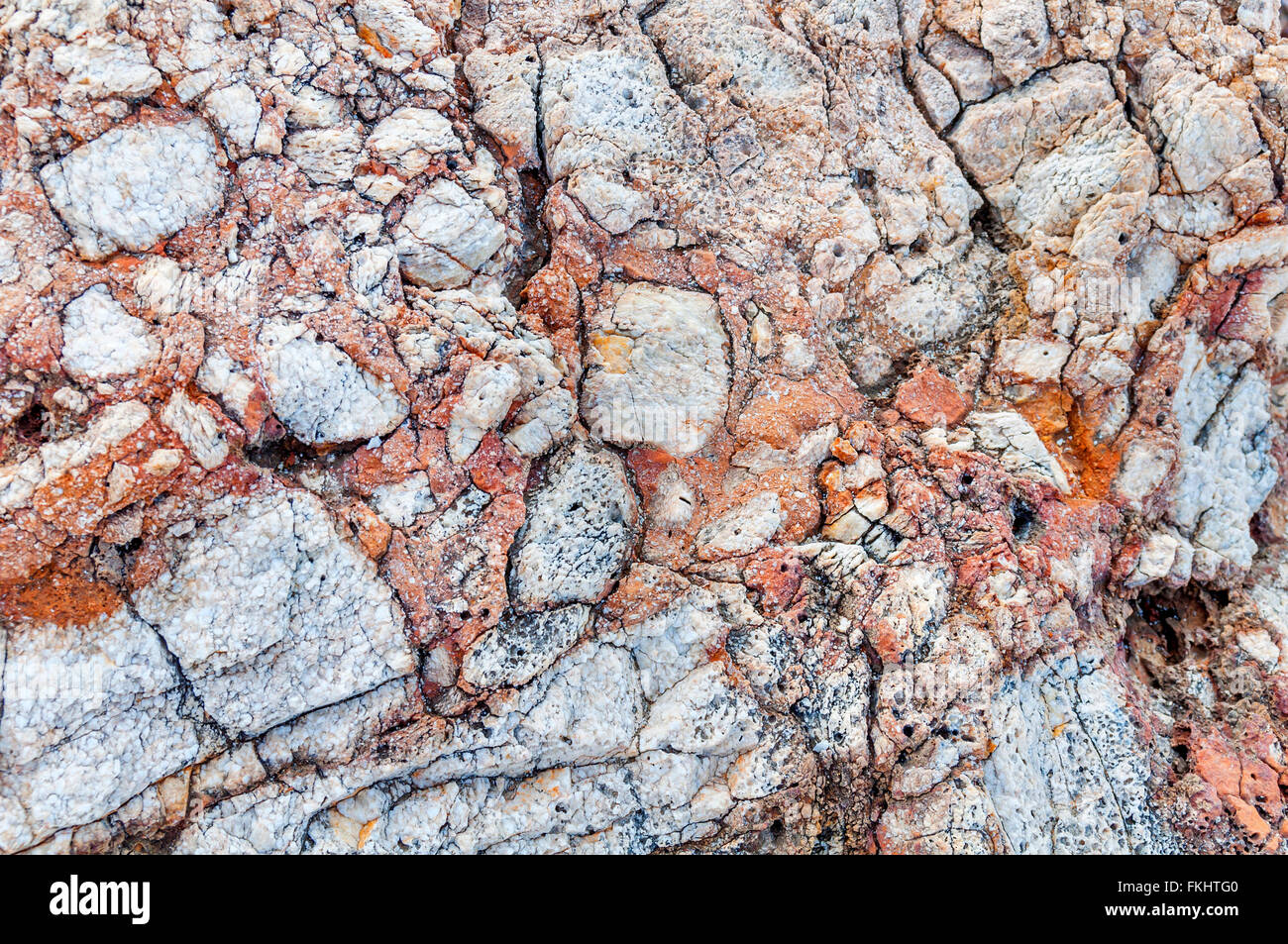 Colorful texture of sea stone Stock Photo - Alamy