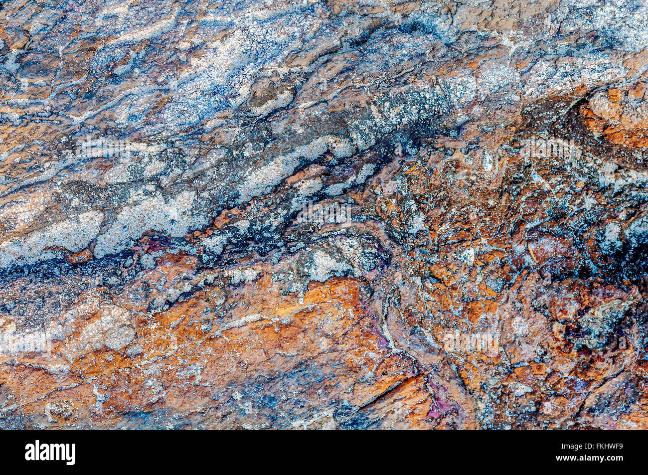 Colorful texture of sea stone Stock Photo - Alamy